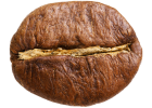 Buy Fresh Robusta Coffee Beans | Roasted in Europe – BotaCoffee ...